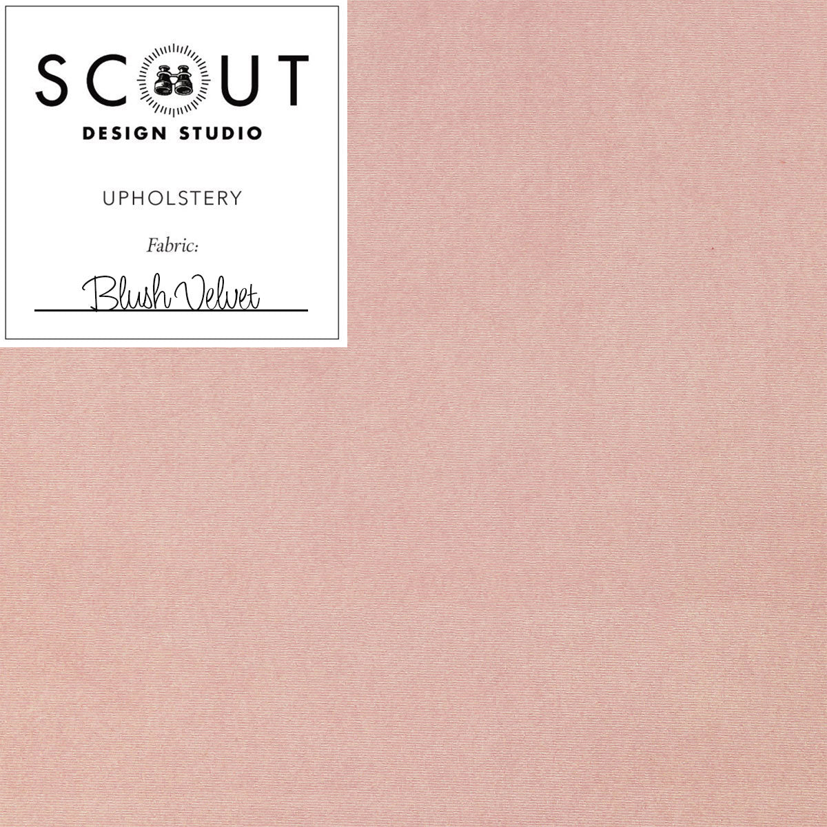 Blush Velvet Fabric Sample - Scout Label – Scout Design Studio