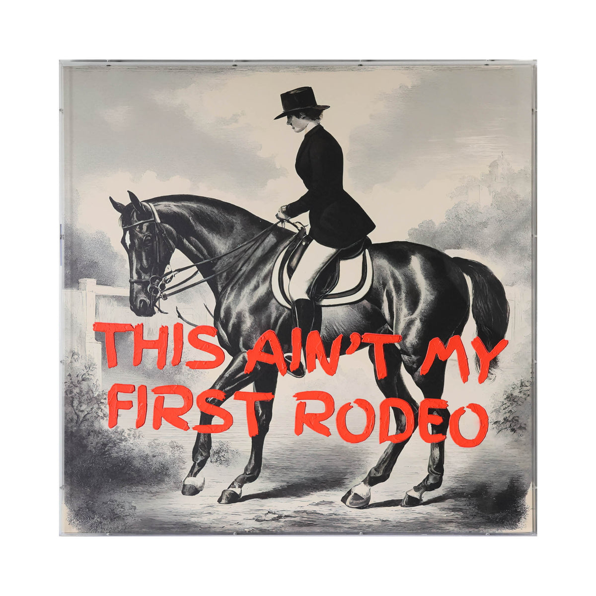 Rodeo | Unique Wall Art – Scout Design Studio