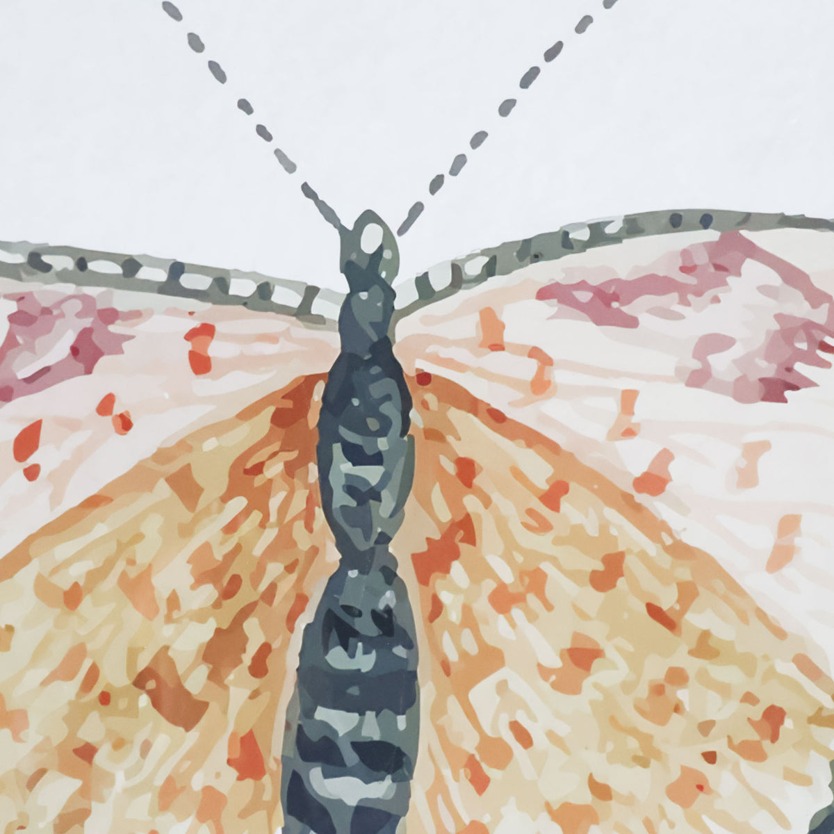 Titali | Watercolor Moth Artwork in Acrylic Shadowbox – Scout Design Studio