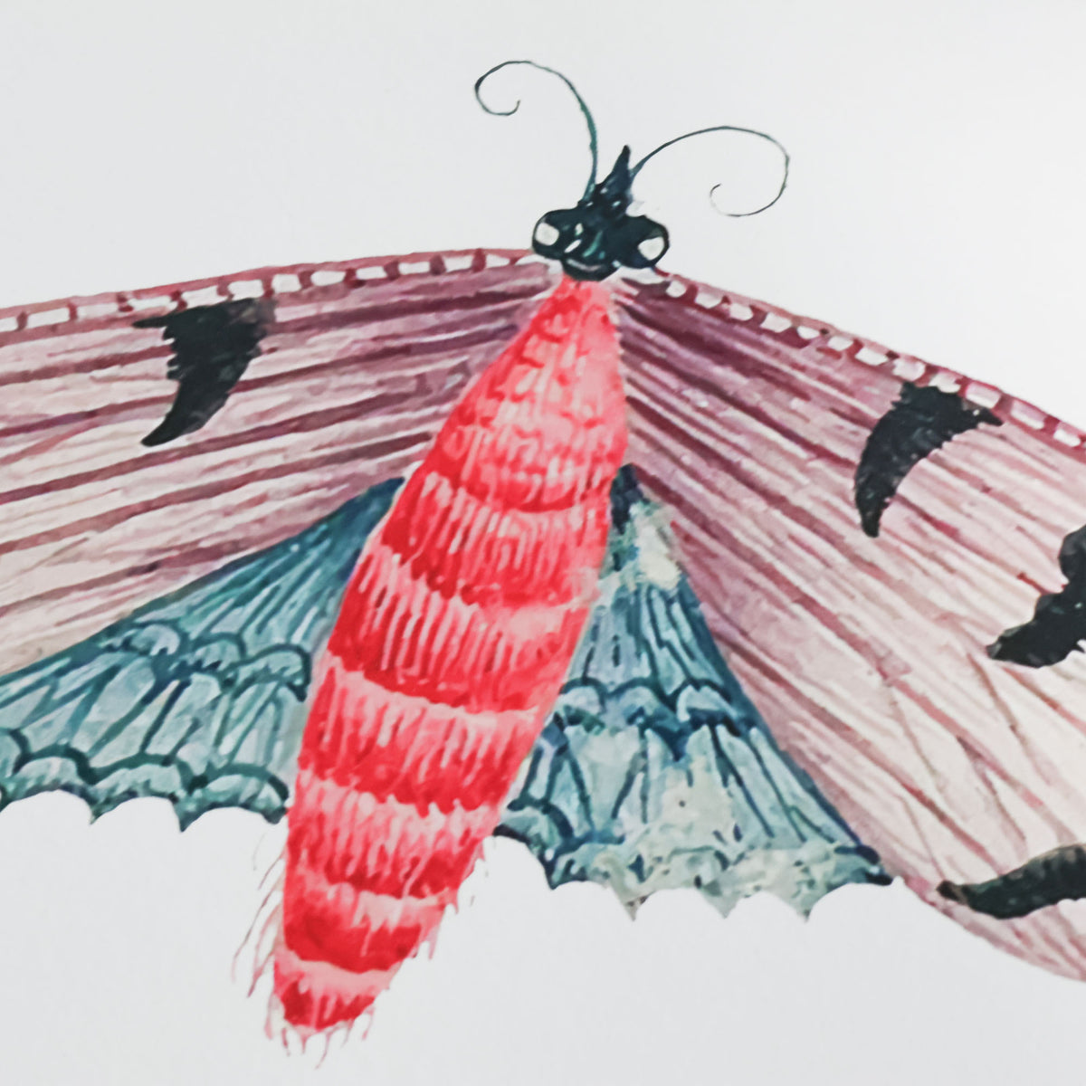 Titali in Acrylic - Lilac | Moth Artwork Acrylic Float Frame – Scout ...