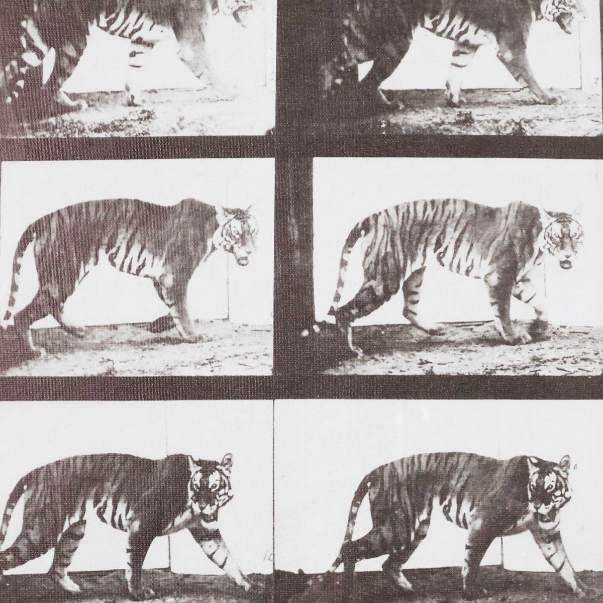 Earn Your Stripes | Unique Wall Art – Scout Design Studio