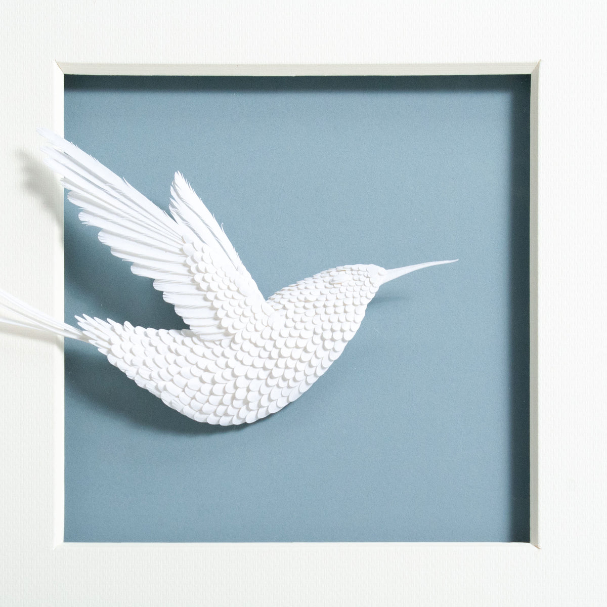 Aviary Framed Bird Art - Coleto | Bird Wall Art – Scout Design Studio