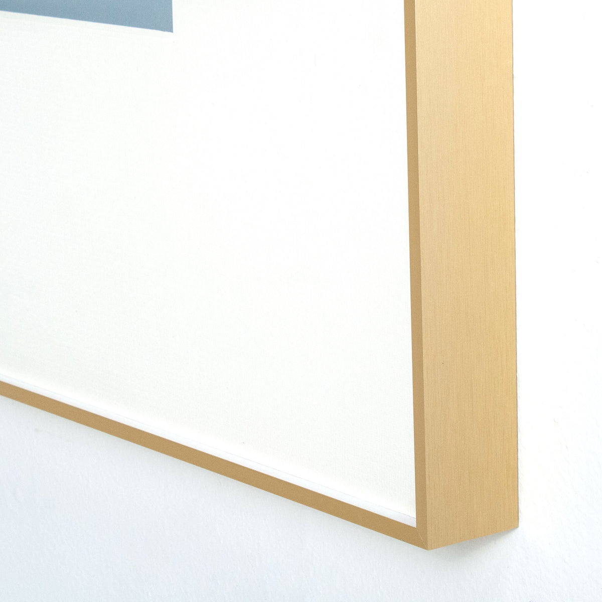 Aviary Framed Bird Art - Coleto | Bird Wall Art – Scout Design Studio