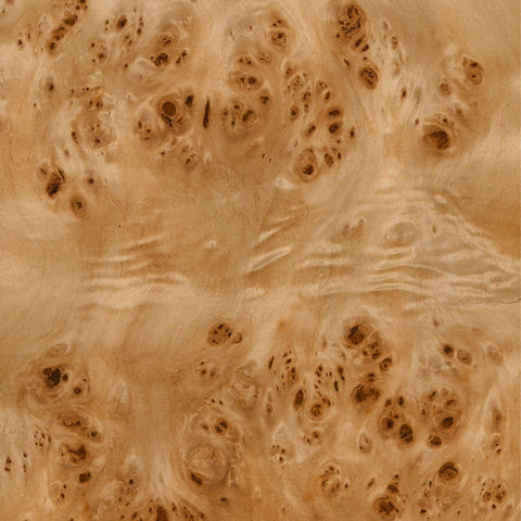 Burl Sample – Scout Design Studio