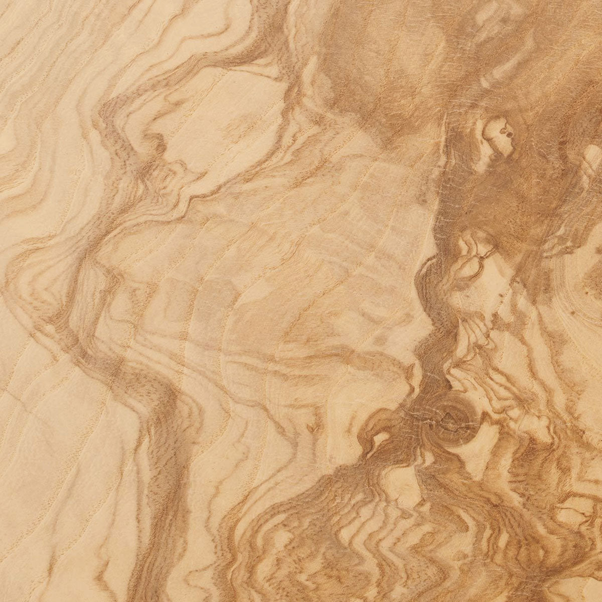 Burl Ash Wood Texture Responsibly Sourced & Durable Ash Burl Wood