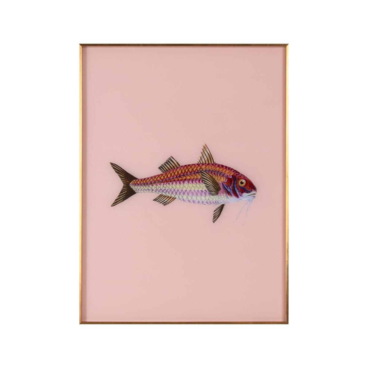Framed Fish Print in Light Coral | Printed Wall Art – Scout Design Studio