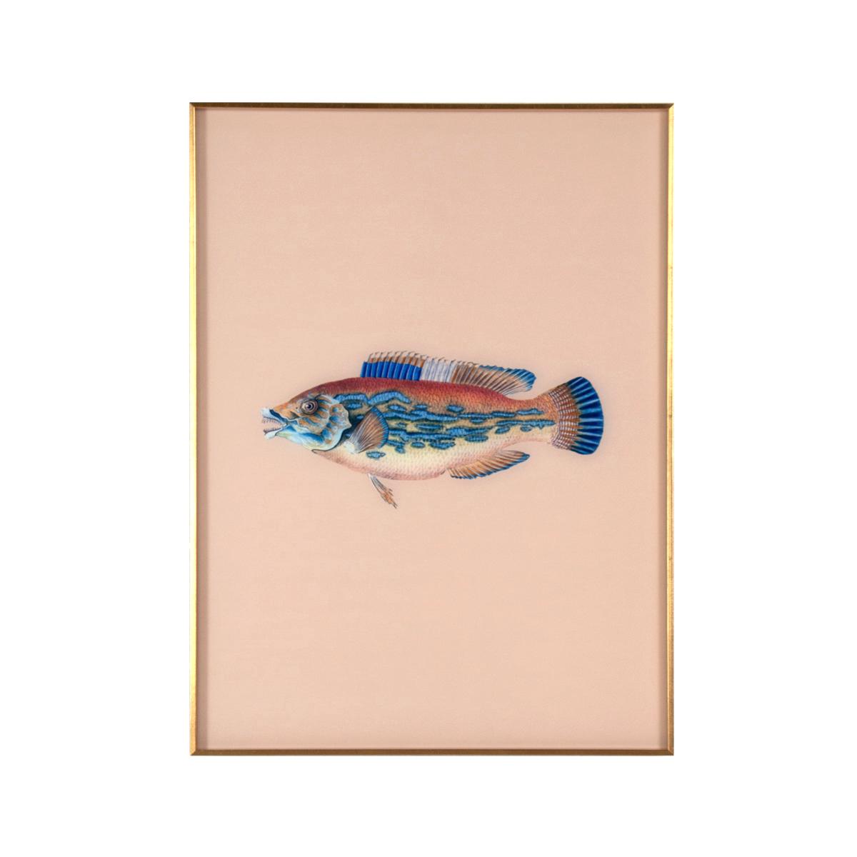 Framed Fish Print in Sand | Printed Wall Art – Scout Design Studio