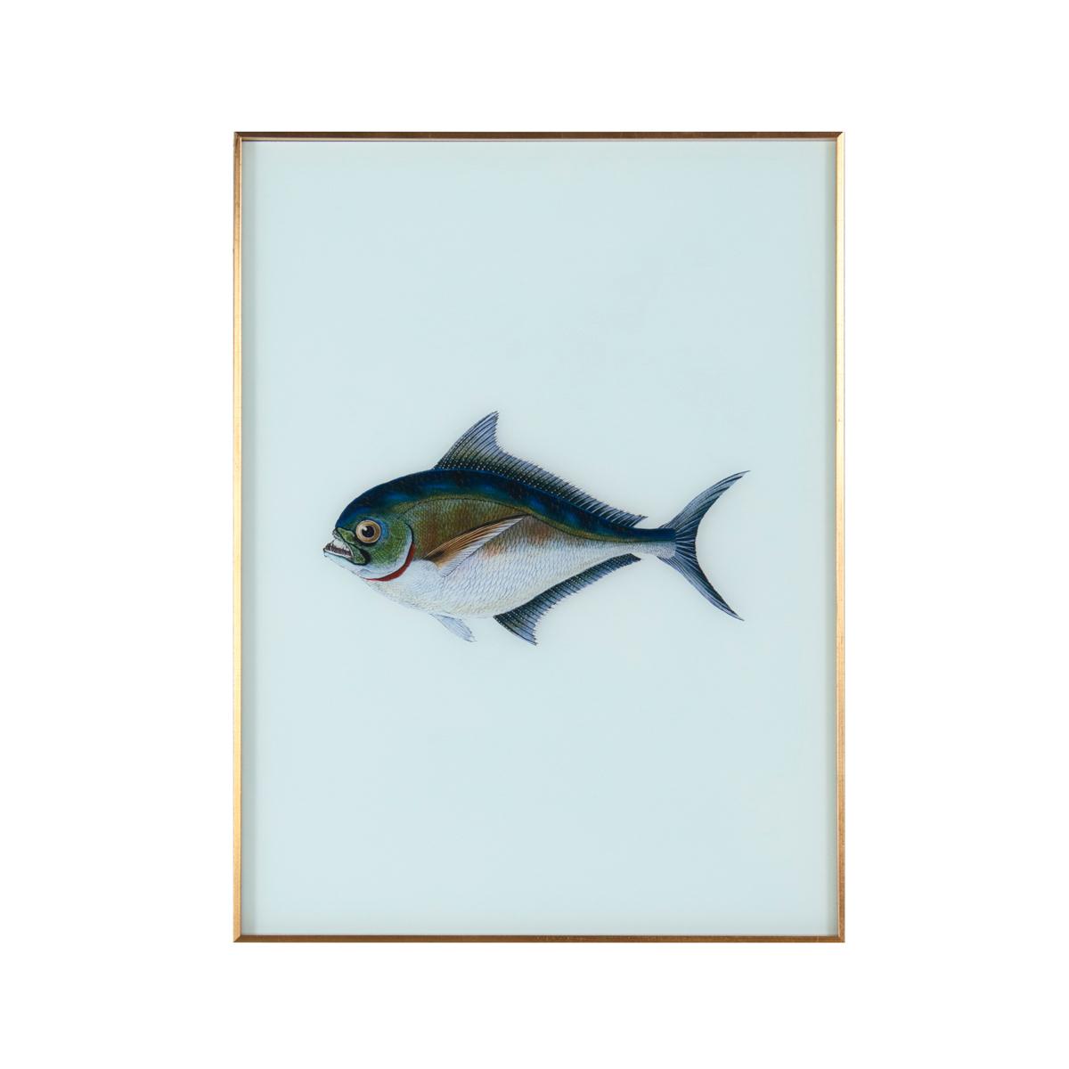 Framed Fish Print in Sea Spray | Printed Wall Art – Scout Design Studio