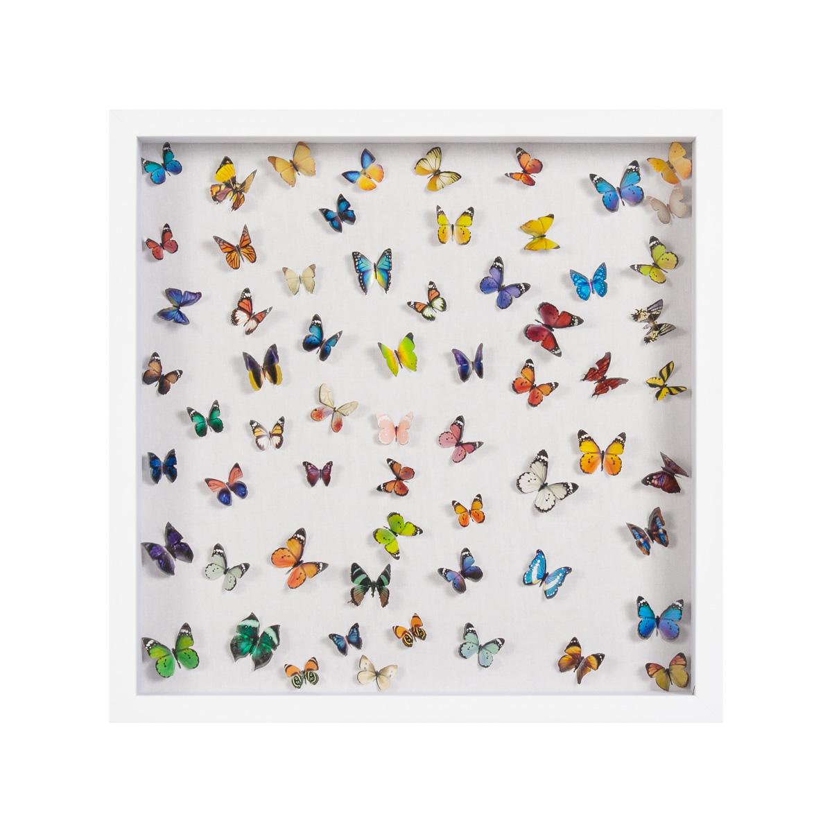 Park Cities Posas | 3D Wall Art – Scout Design Studio