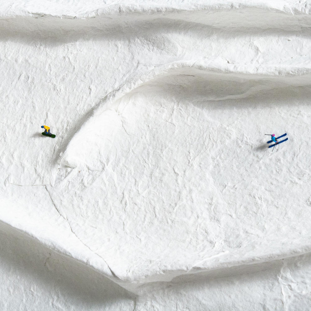 Shredding Powder | Unique & Unusual Wall Art – Scout Design Studio